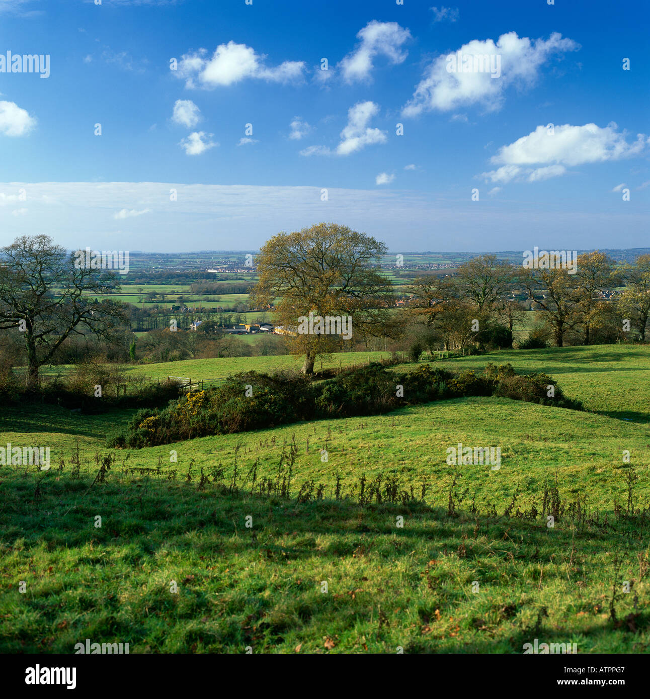 View west to the Blackmoor Vale near Shaftesbury Dorset Stock Photo - Alamy