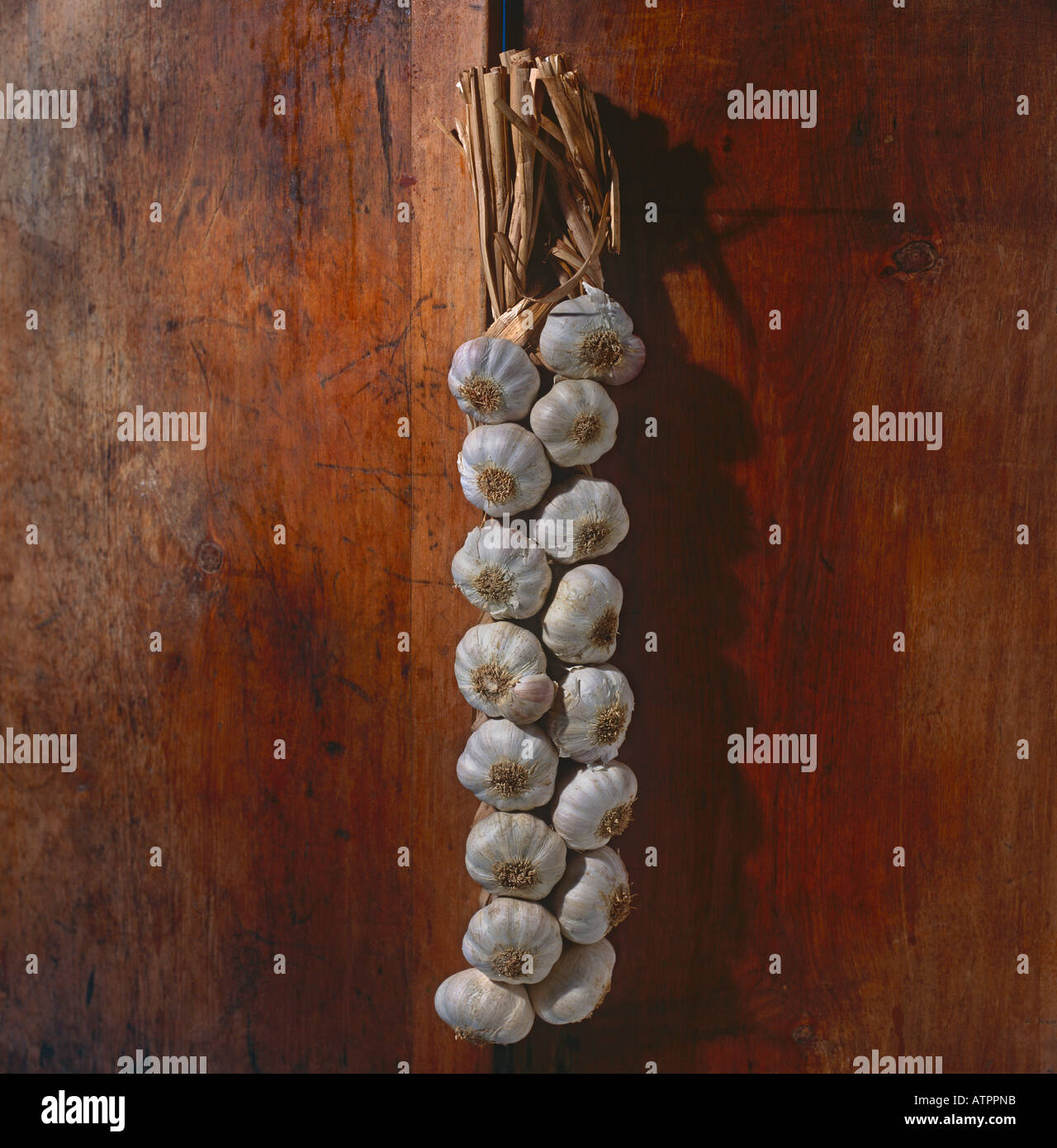String of garlic Stock Photo - Alamy