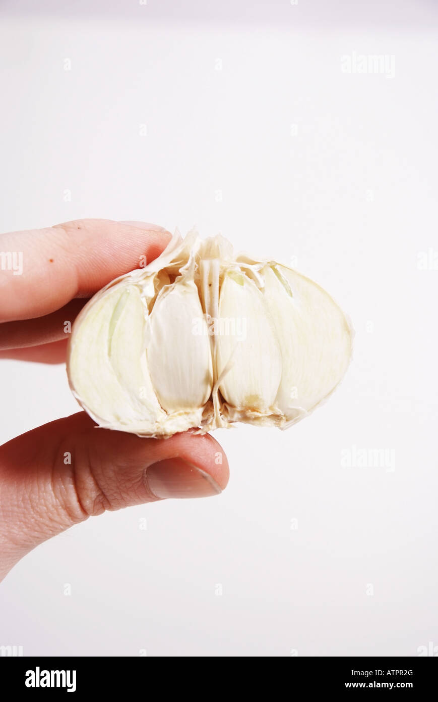 Garlic in human hand | halbierte Knoblauchknolle in männlicher Hand ...