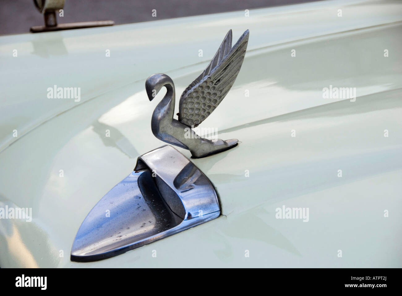 Car radiator mascot hi-res stock photography and images - Alamy