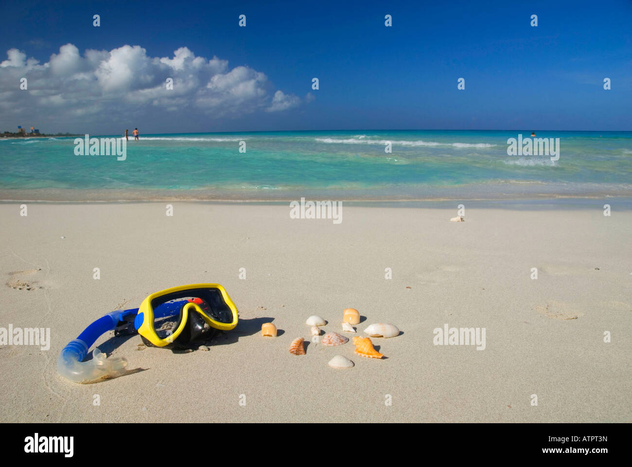 Shells beach cuba hi-res stock photography and images - Alamy