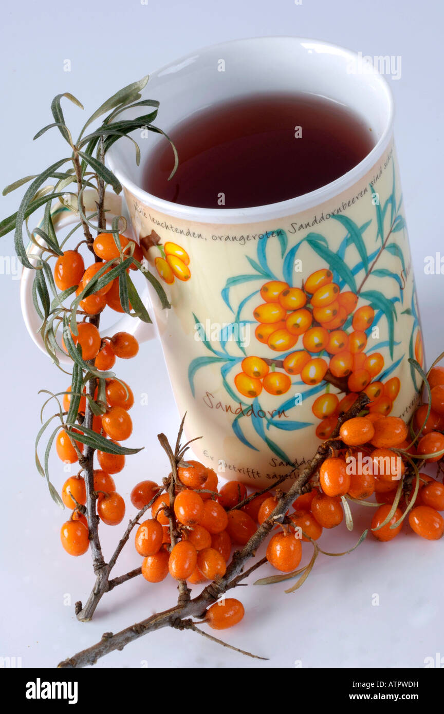 Sea Buckthorn tea Stock Photo - Alamy