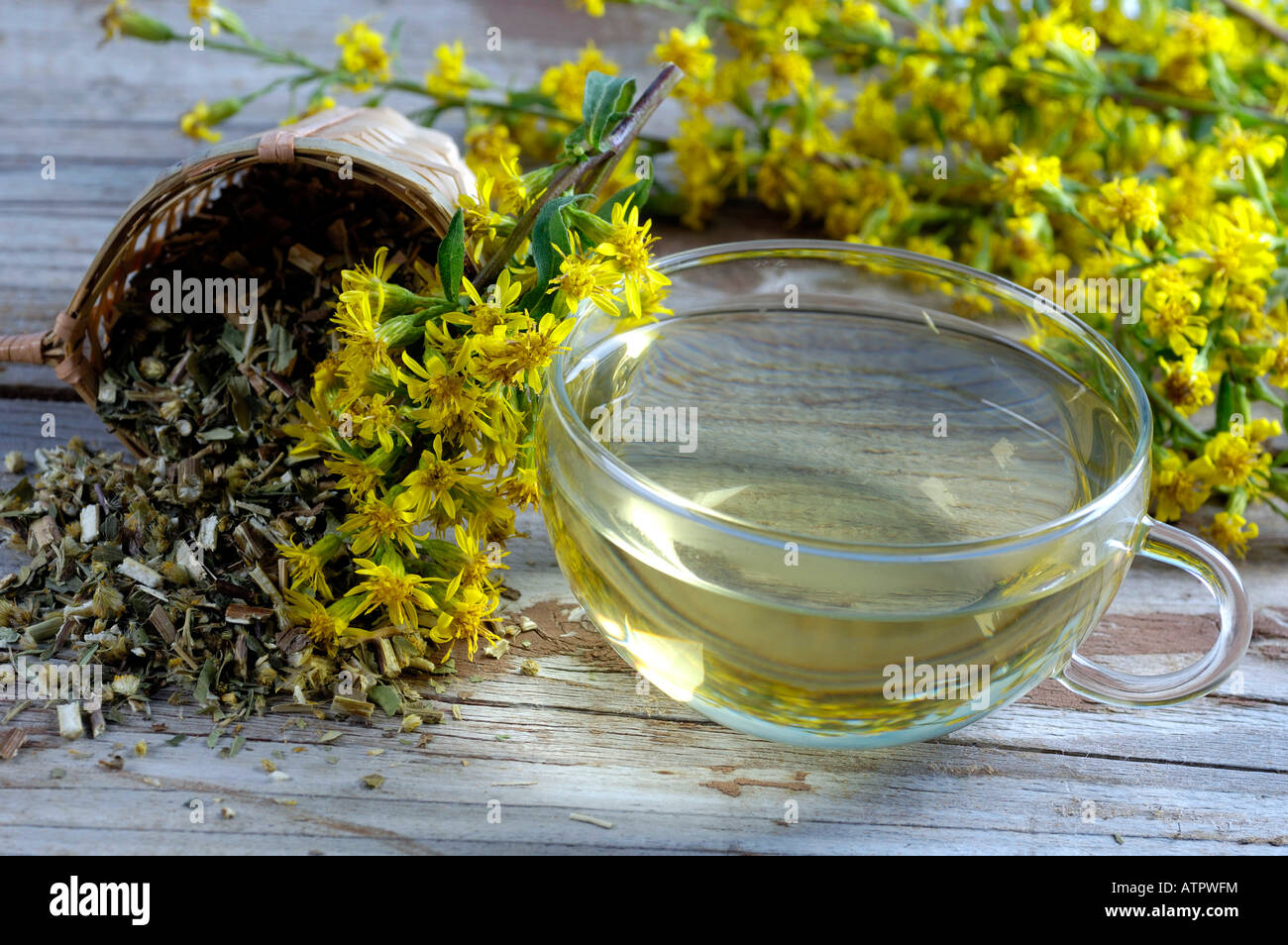Rod tea hi-res stock photography and images - Alamy