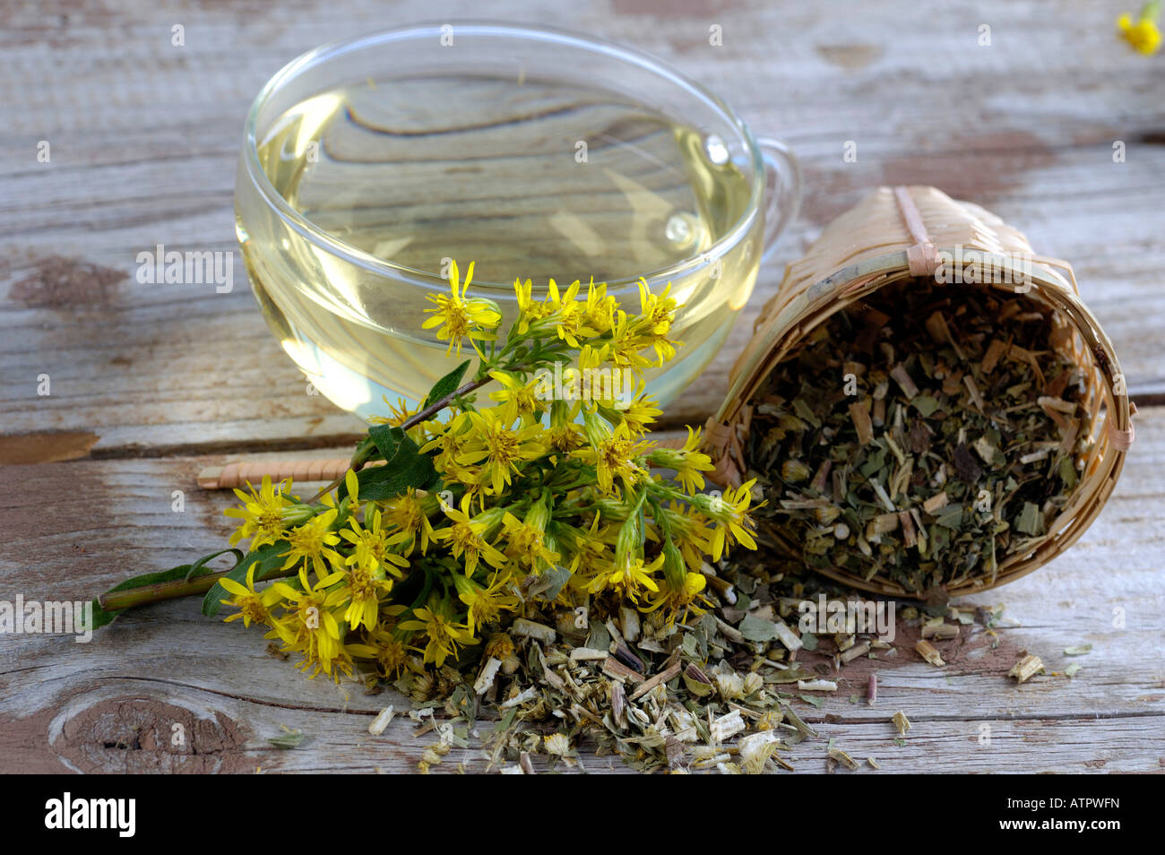 Rod tea hi-res stock photography and images - Alamy