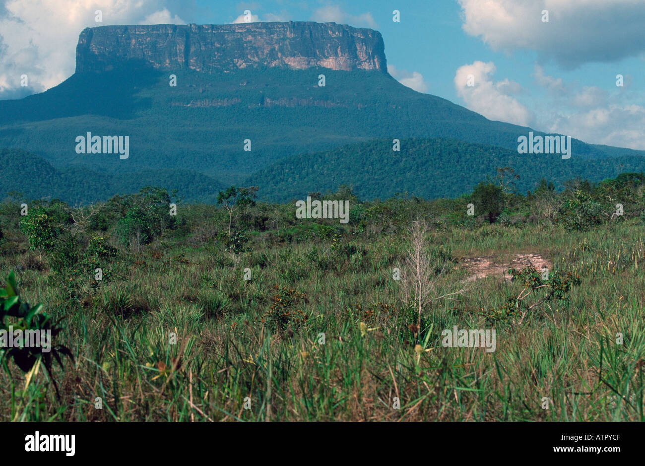 Table mountain / Ptari Tepui Stock Photo - Alamy