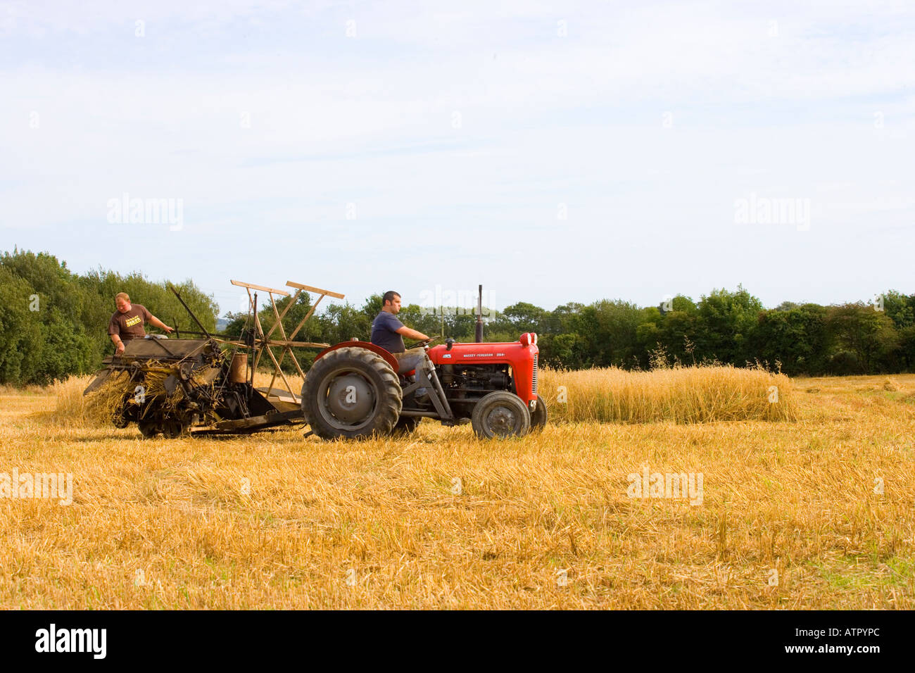 Irish farm labour hi-res stock photography and images - Alamy