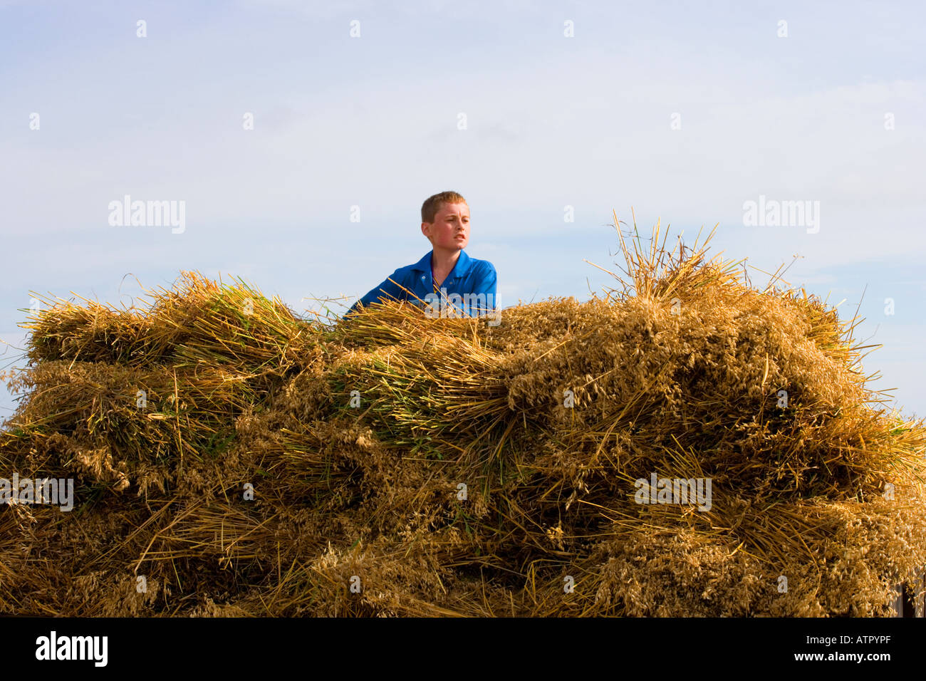 young farm boy on hay stack Stock Photo - Alamy
