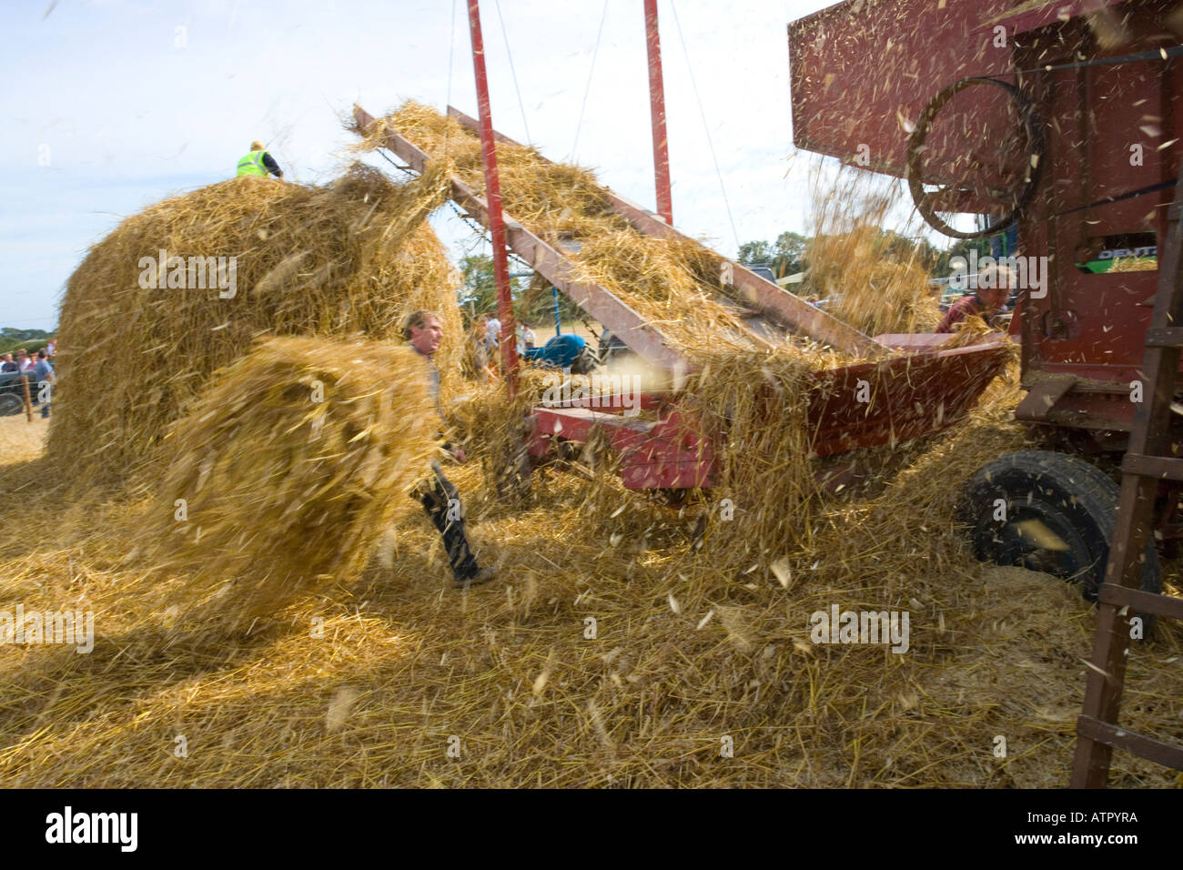 saving the hay Stock Photo - Alamy