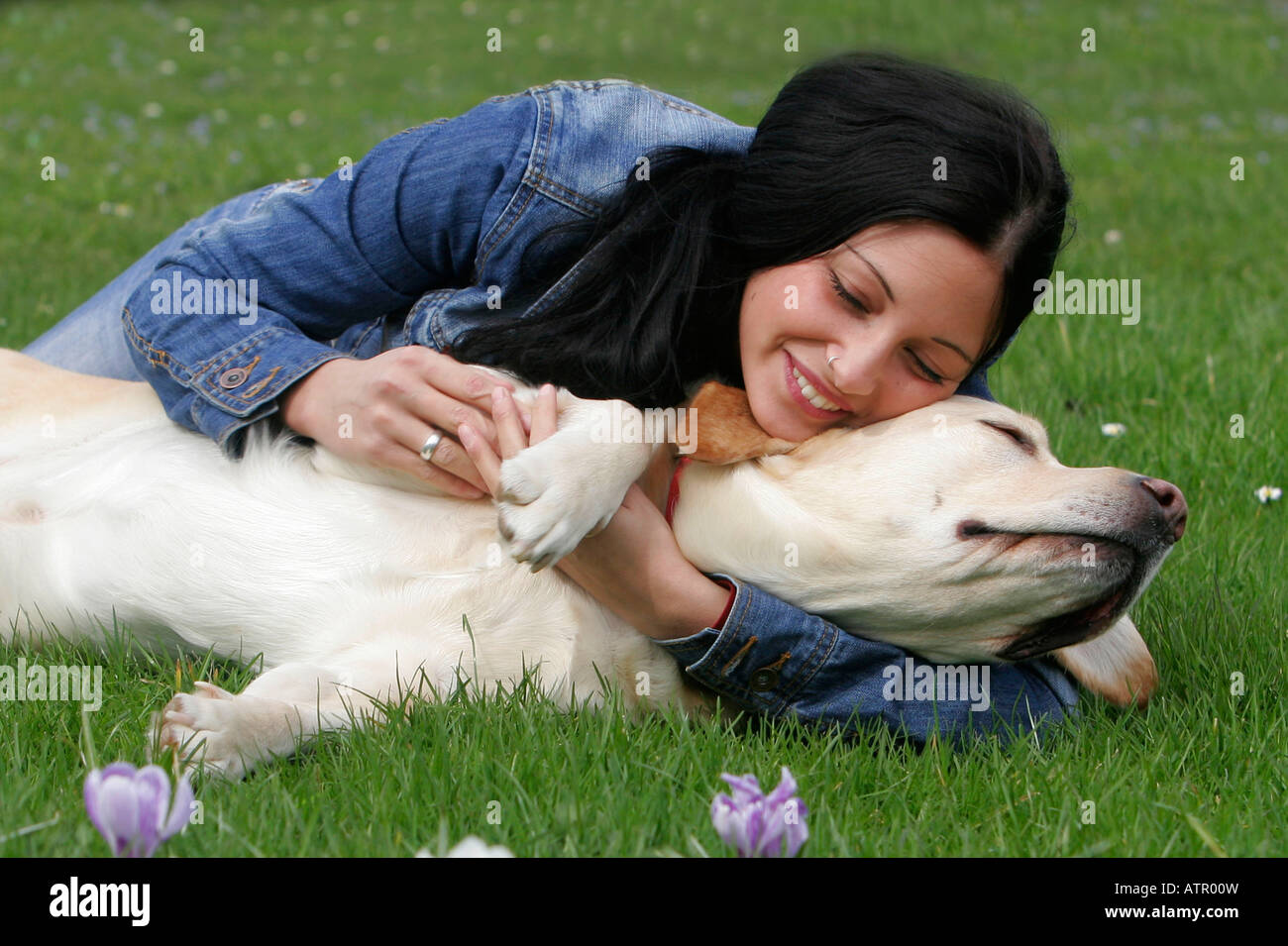 Woman with Labrador Retriever Stock Photo - Alamy