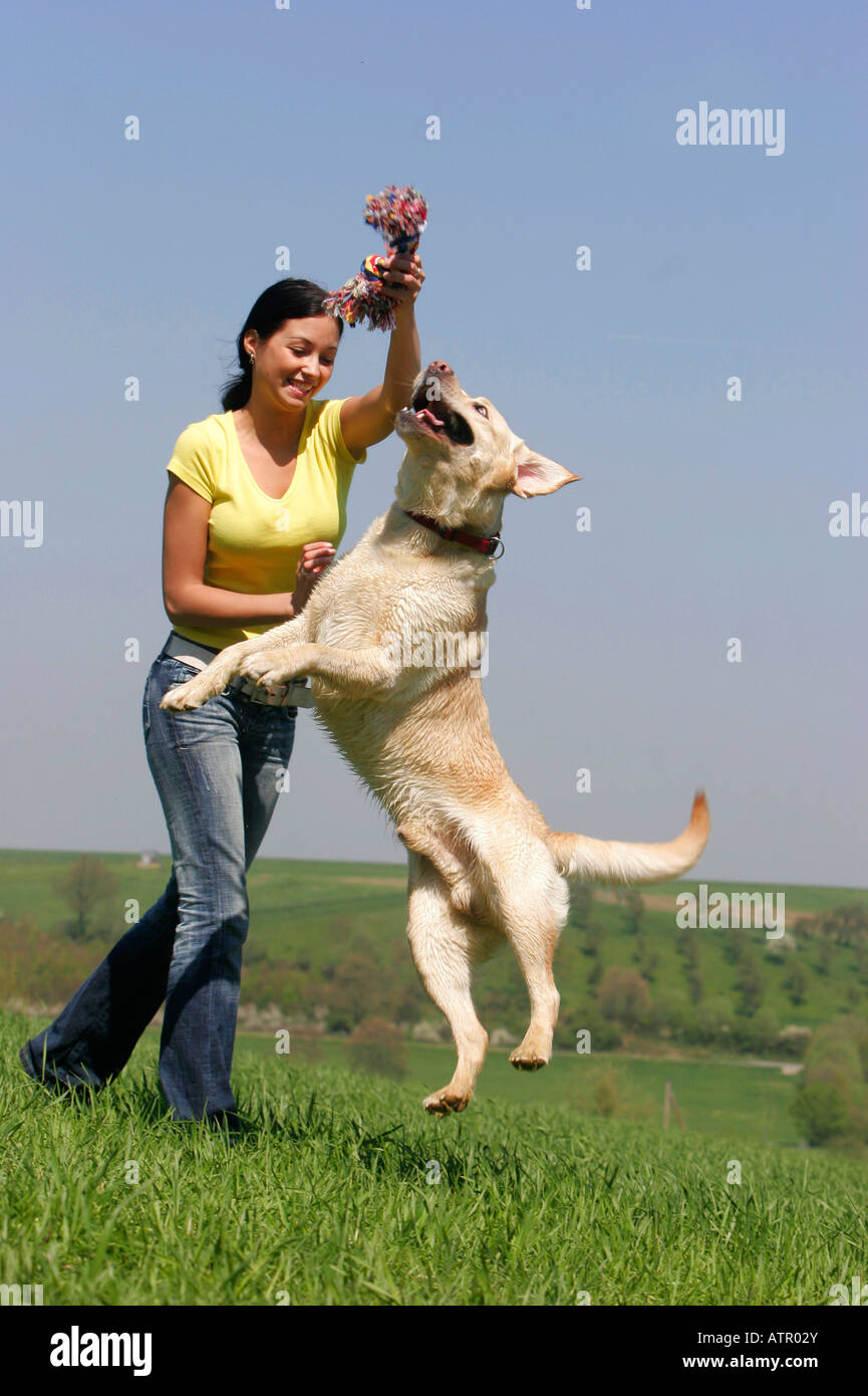 Woman and Labrador Retriever Stock Photo - Alamy