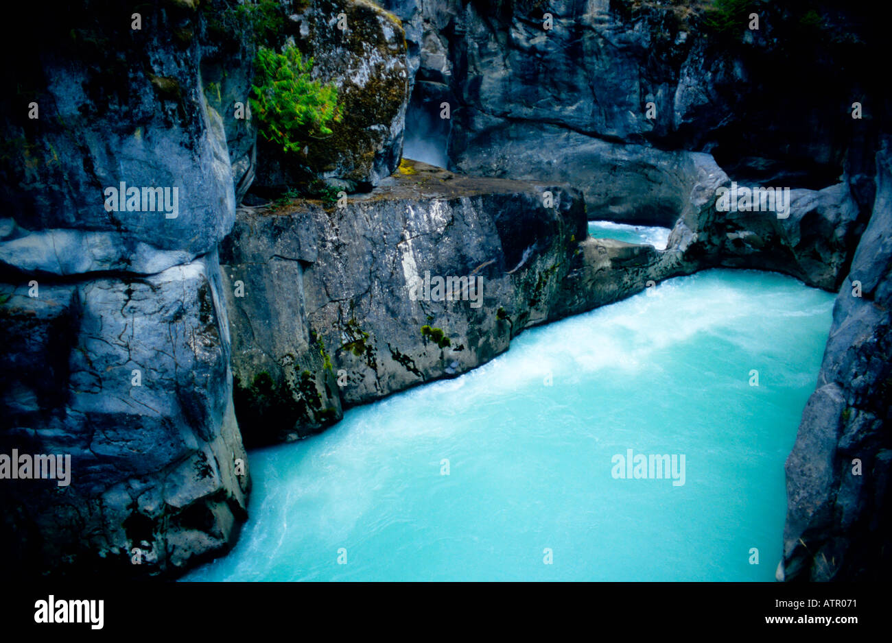 Alpine pool in Canada Stock Photo - Alamy
