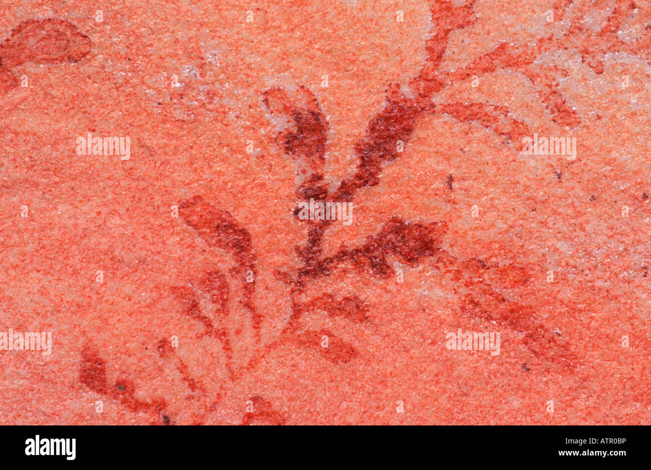 Dendrit hi-res stock photography and images - Alamy