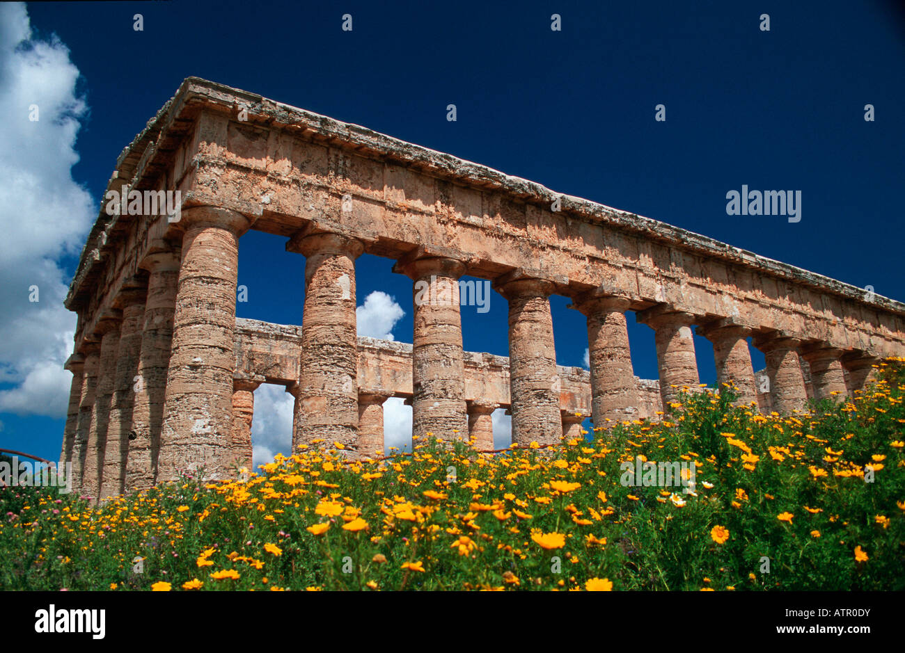 Greek Temple / Segesta Stock Photo - Alamy