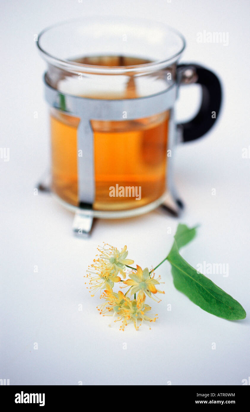 Lime blossom tea Stock Photo - Alamy