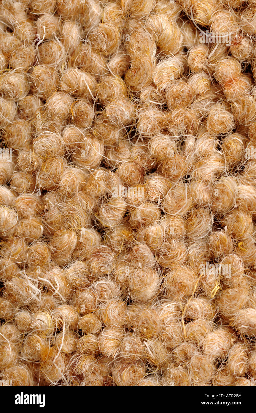 Carpet close up detail Stock Photo - Alamy