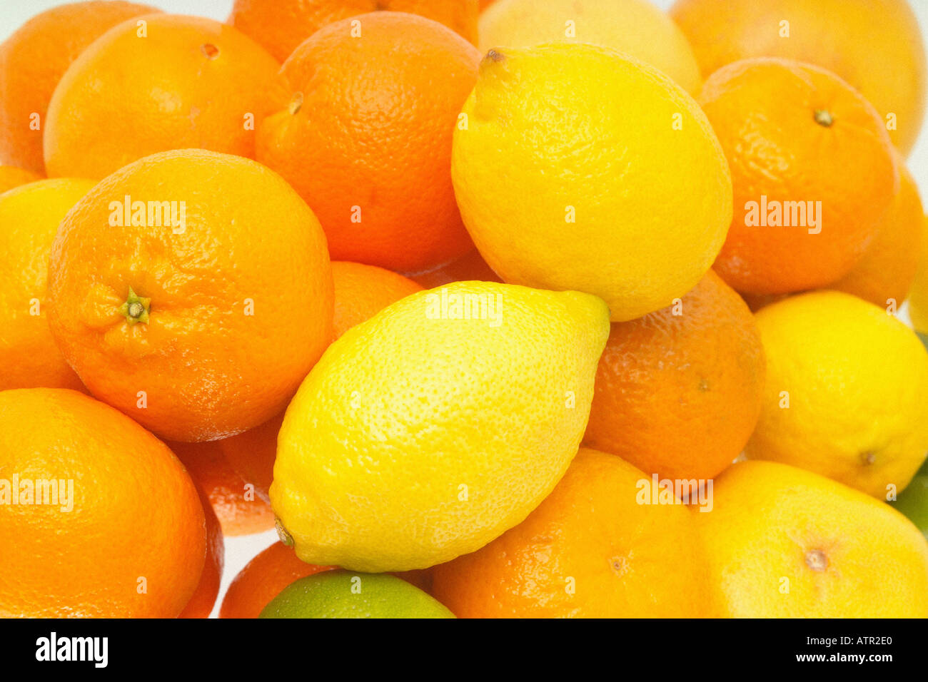 Oranges Clementines Limes and Lemons Stock Photo - Alamy