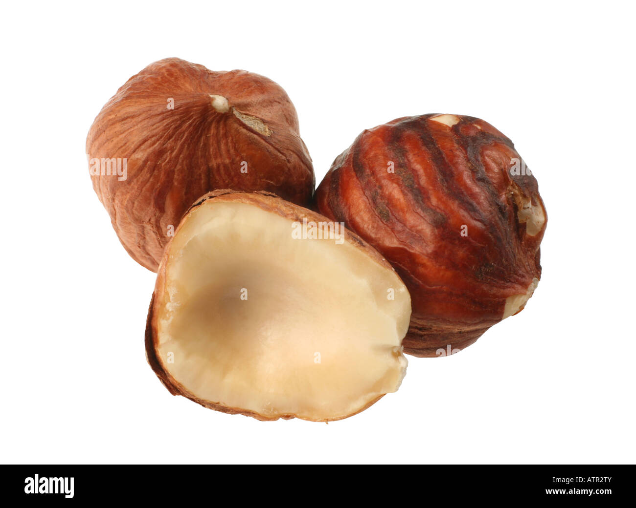 Hazel nut group isolated on white background Stock Photo - Alamy