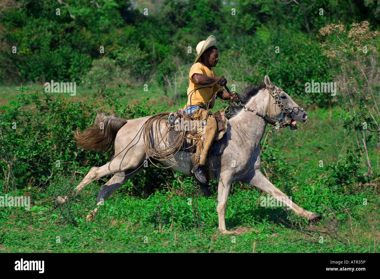 Vaqueiro hi-res stock photography and images - Alamy