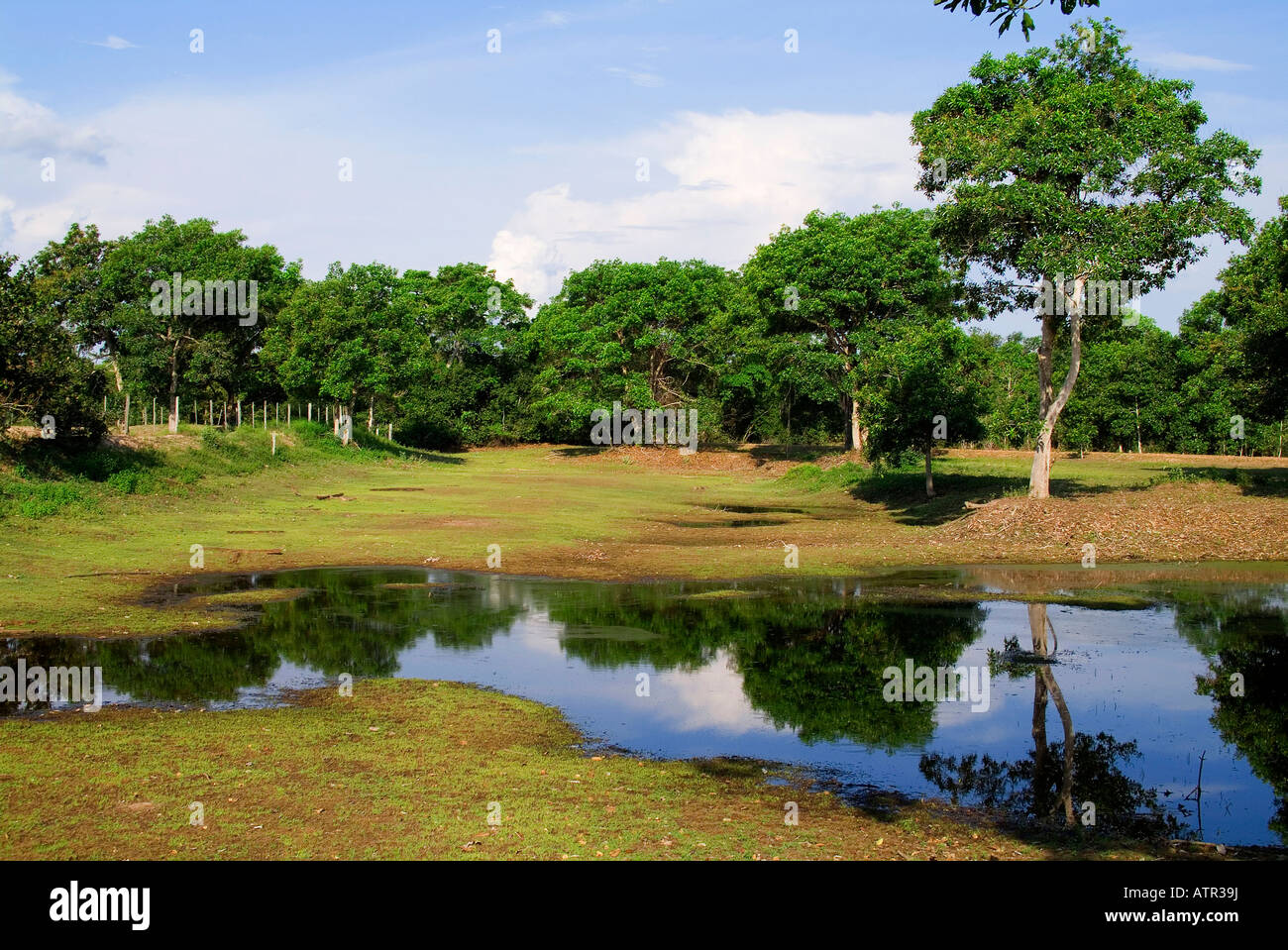 Mutum river hi-res stock photography and images - Alamy