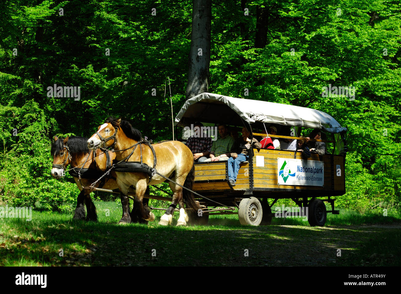 Horse wagon hi-res stock photography and images - Alamy