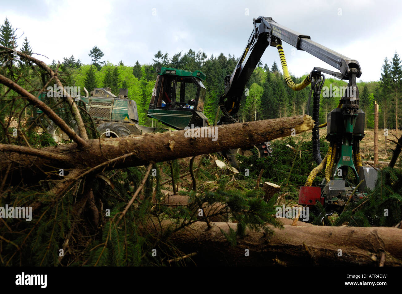 Forestry operations hi-res stock photography and images - Alamy