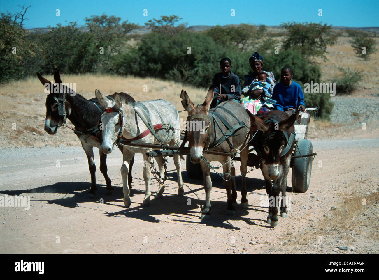 Donkey cart in namibia hi-res stock photography and images - Alamy