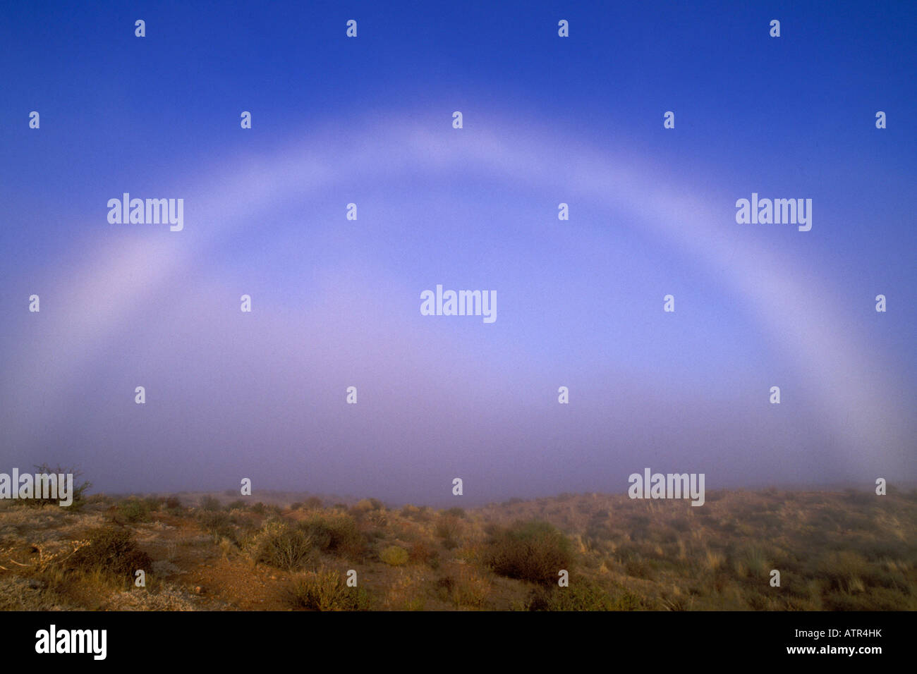 Mistobow hi-res stock photography and images - Alamy