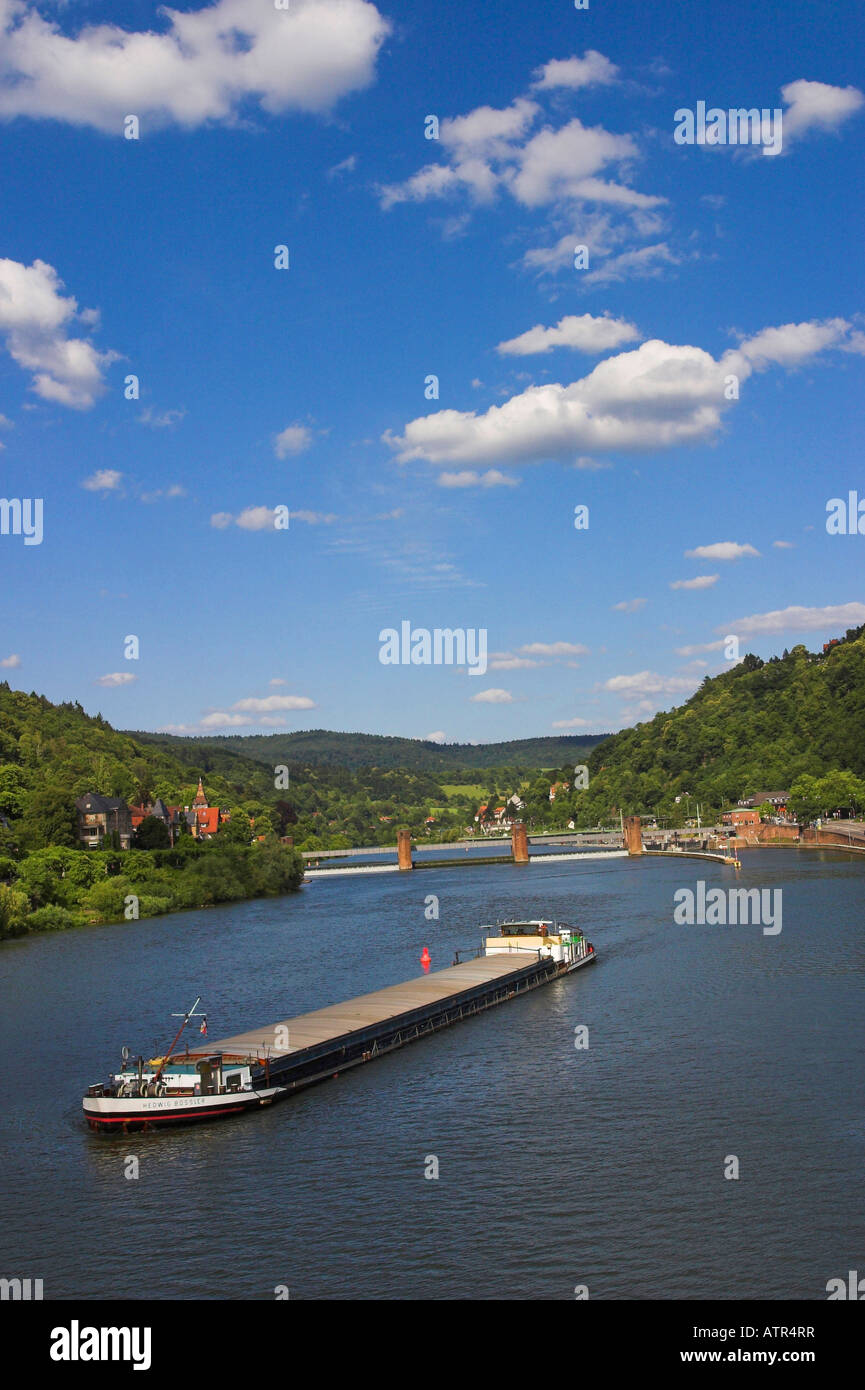 Ship on river Neckar / Heidelberg Stock Photo - Alamy