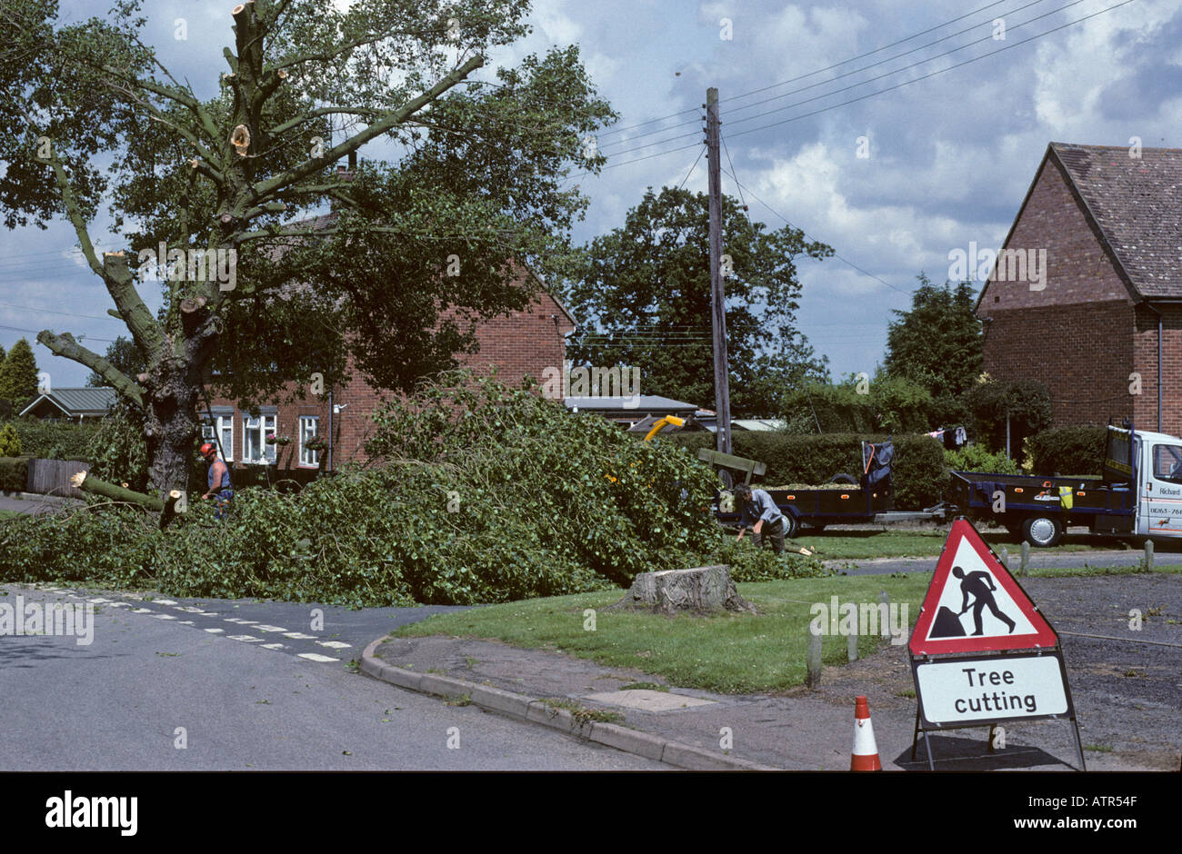 tree felling in urban area UK Stock Photo - Alamy