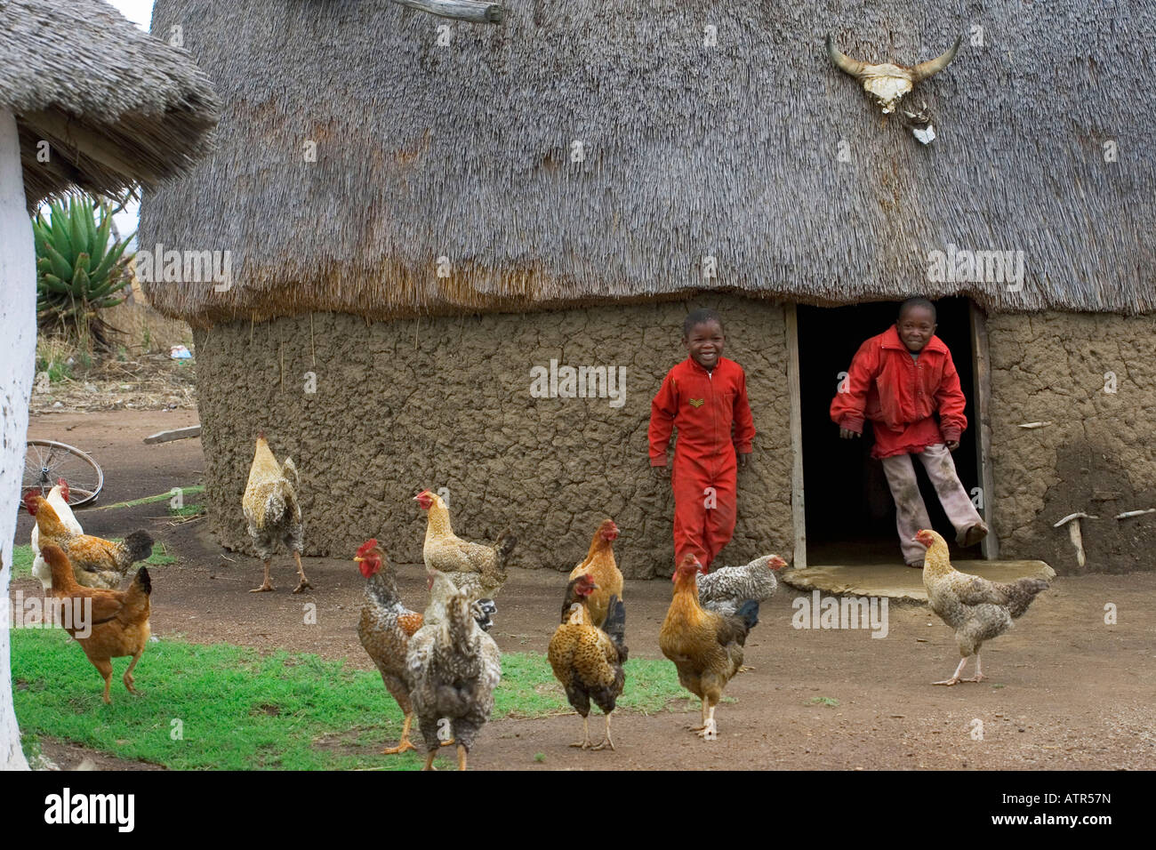 Zulu boy hi-res stock photography and images - Alamy