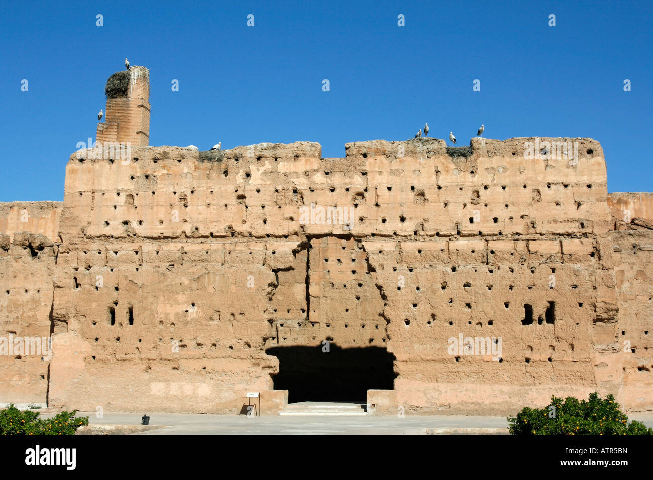 Storks nest atop the pise walls of the ruined El Badi Palace Marrakesh ...