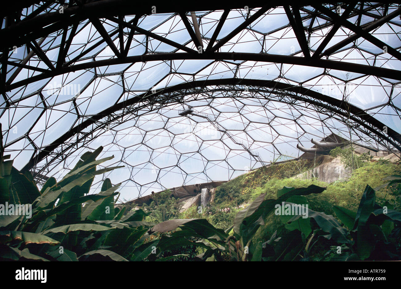 Humid Tropics Biome at Eden Project Cornwall UK Stock Photo - Alamy