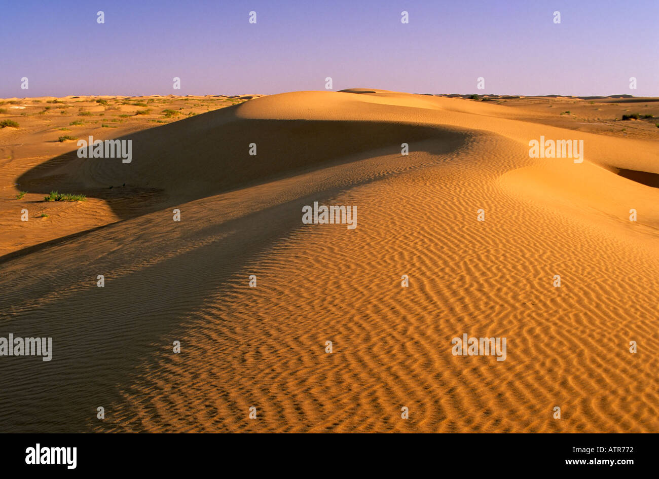 Sand dunes of the Sahara Desert, Mauritania Stock Photo - Alamy