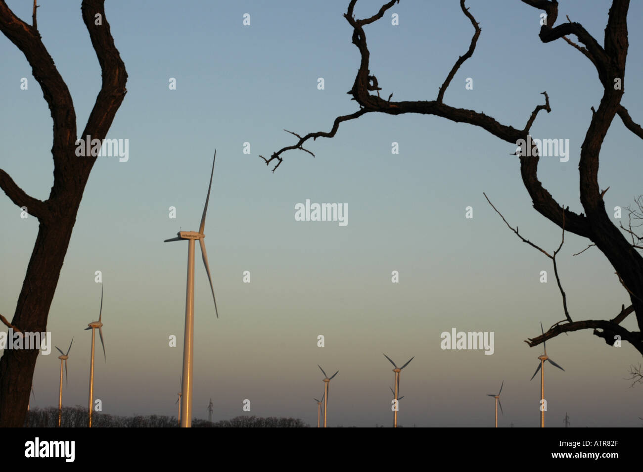 Dead trees wind energy plant wind turbine hi-res stock photography and ...