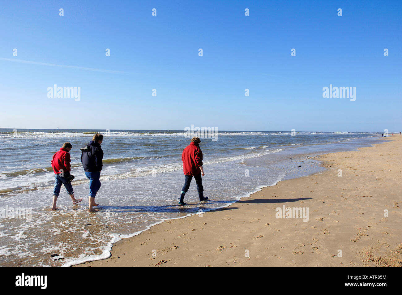 Walker at beach Stock Photo - Alamy
