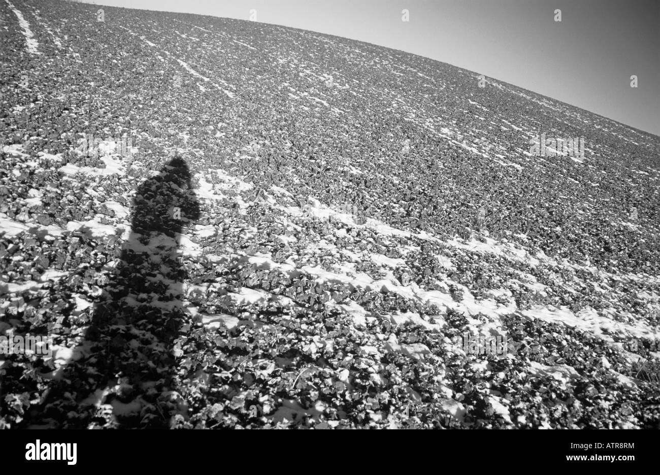 Icy landscape shadow Black and White Stock Photos & Images - Alamy