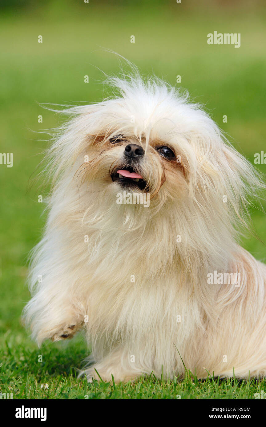 Mi ki hi-res stock photography and images - Alamy