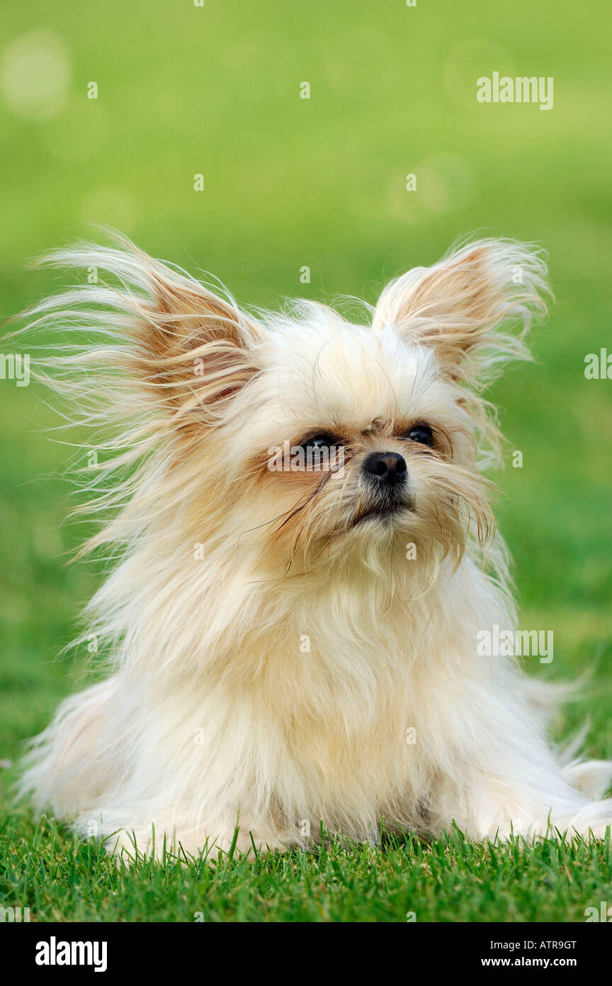 Mi ki hi-res stock photography and images - Alamy