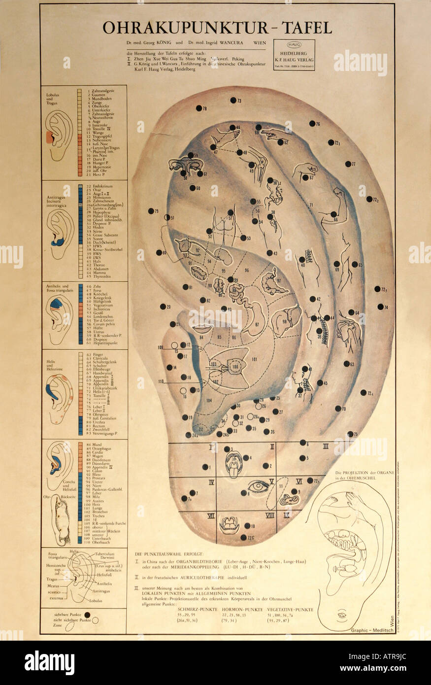 Acupoints hi-res stock photography and images - Alamy