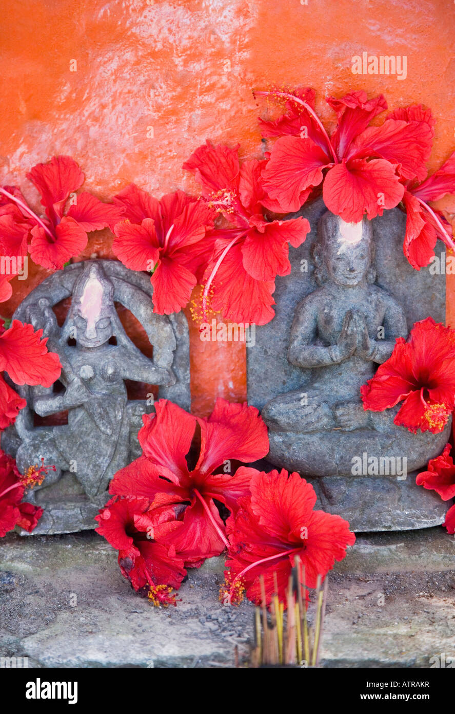 Close-up of flowers on the statues of God and Goddess Durga Stock Photo ...