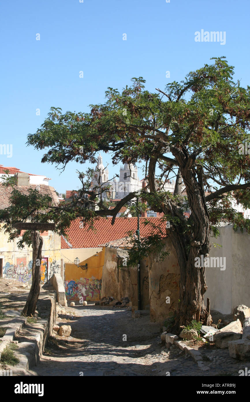 Poor streets of Lisbon, Portugal Stock Photo - Alamy
