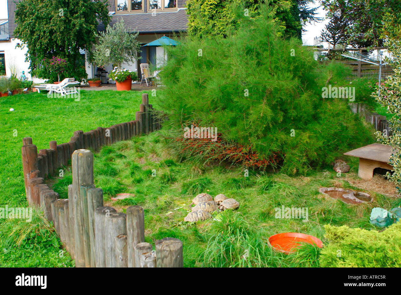 Pet tortoise enclosure hi-res stock photography and images - Alamy
