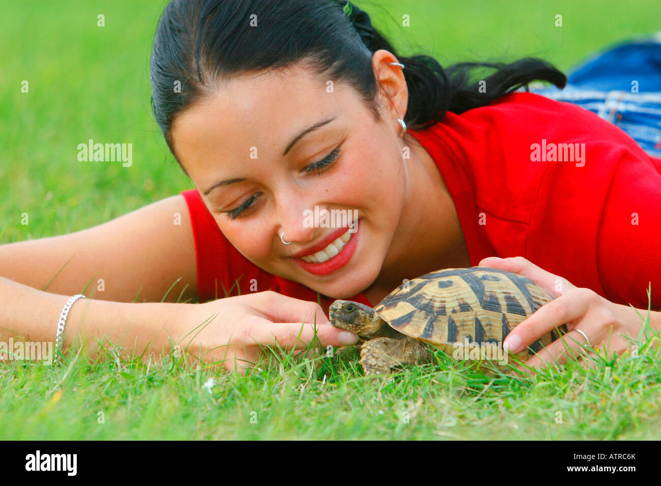 Smiling tortoises hi-res stock photography and images - Alamy