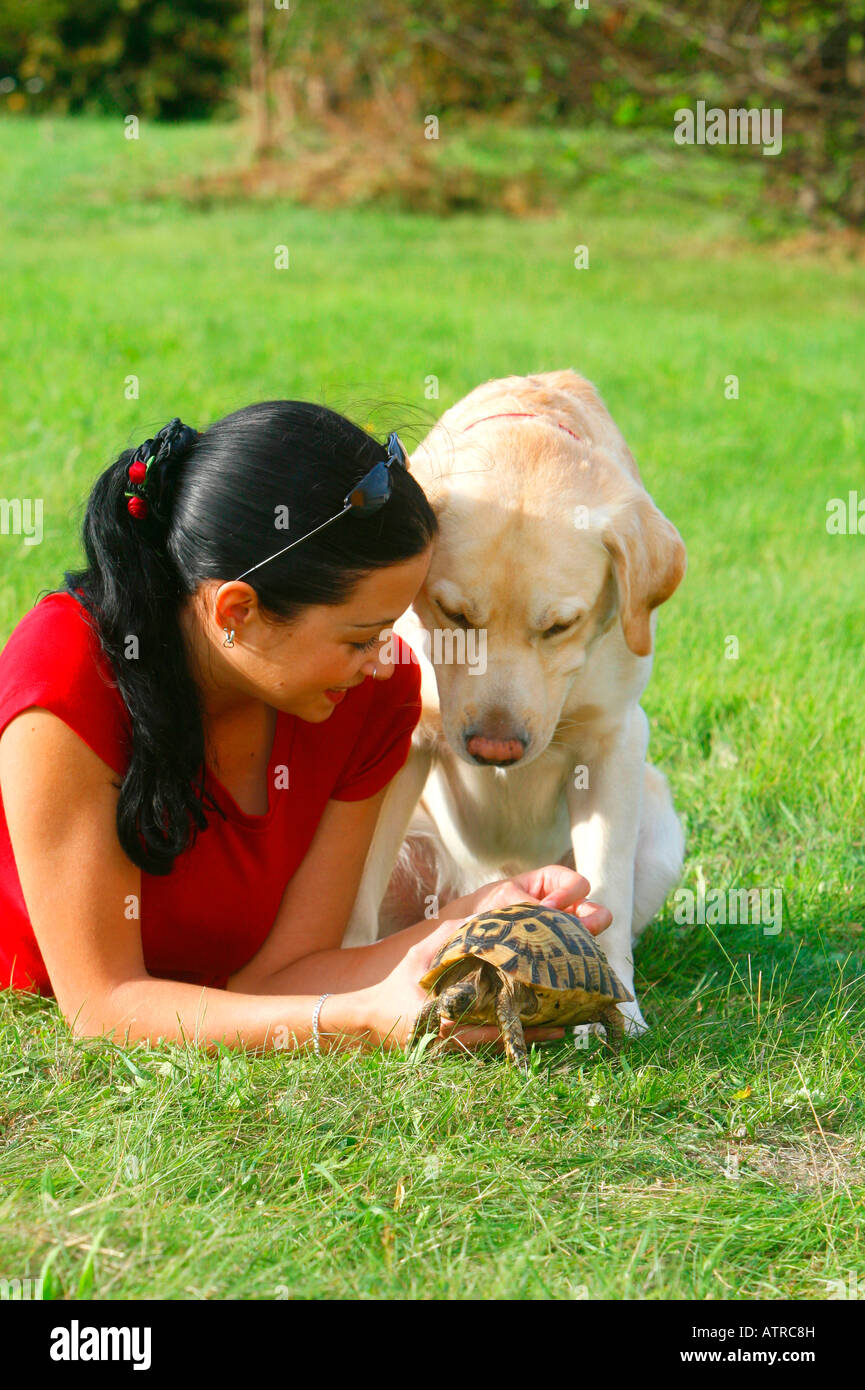 Dog with tortoise hi-res stock photography and images - Alamy