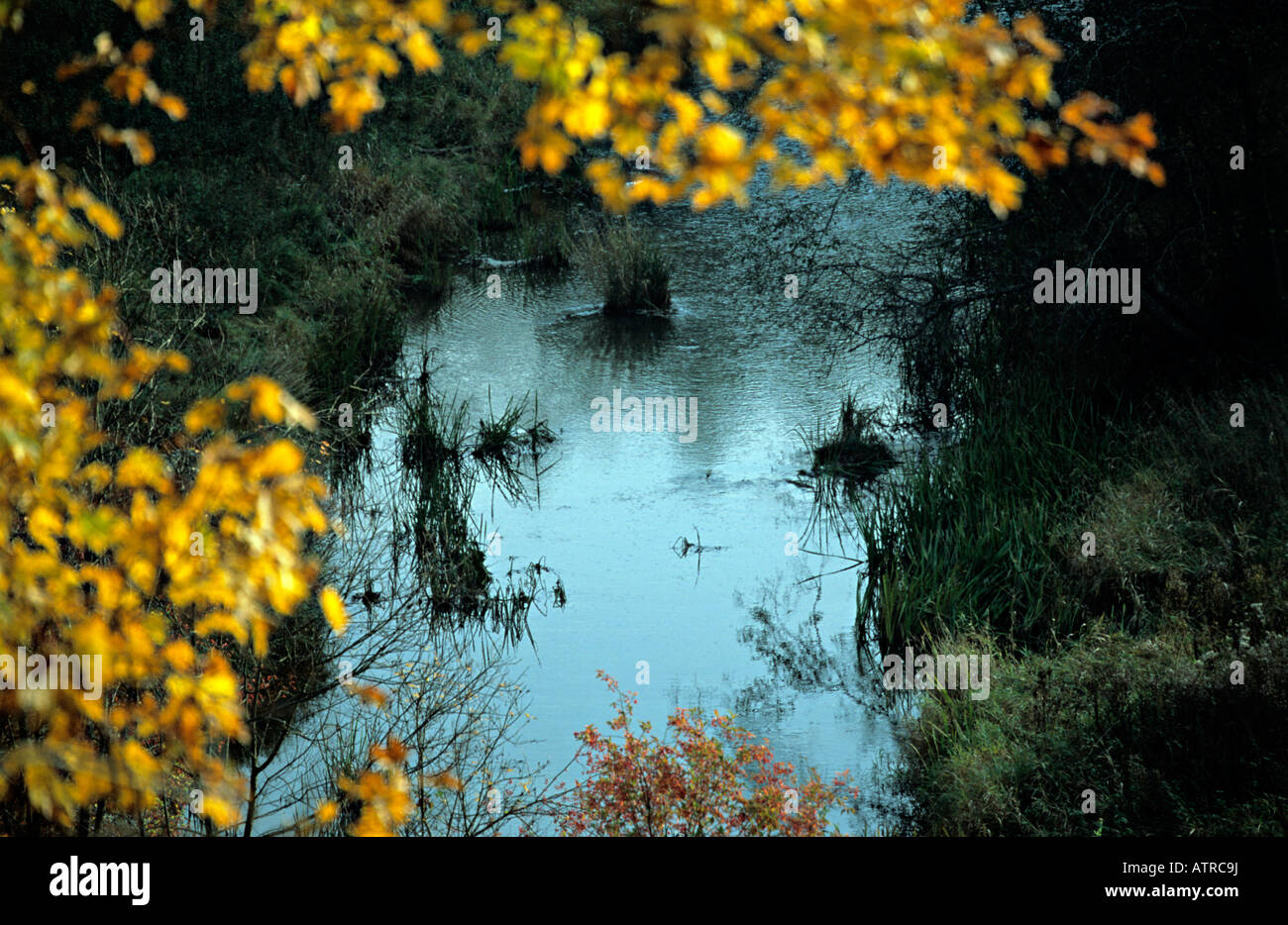 Abava river valley in autumn Stock Photo - Alamy