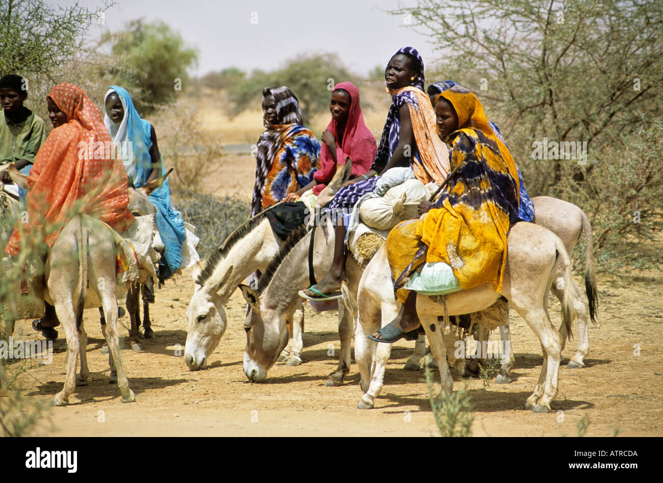 Mauritanian traditional dress hi-res stock photography and images - Alamy