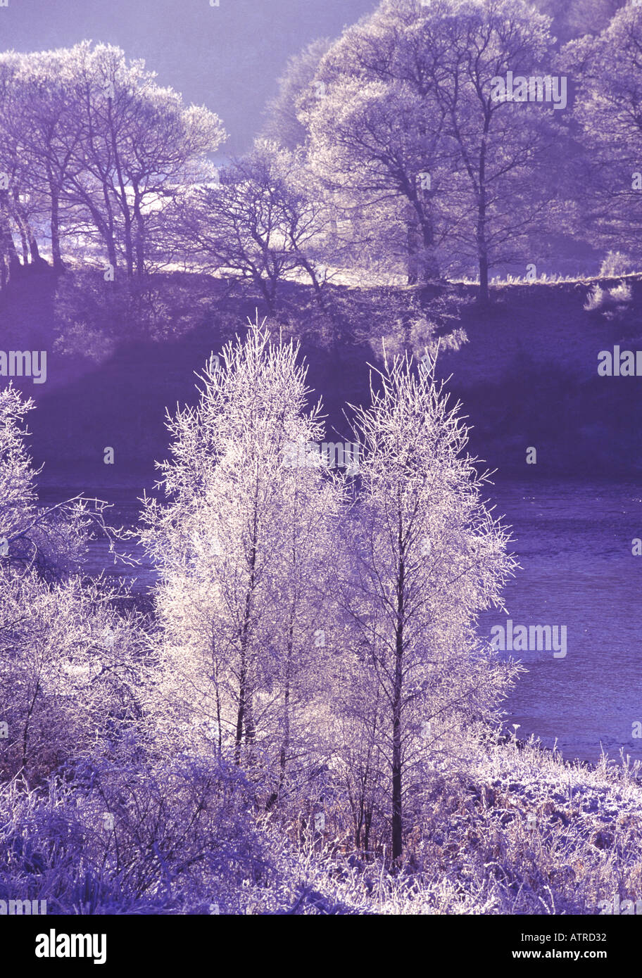 The valley of the tay the valley of the tay hi-res stock photography ...