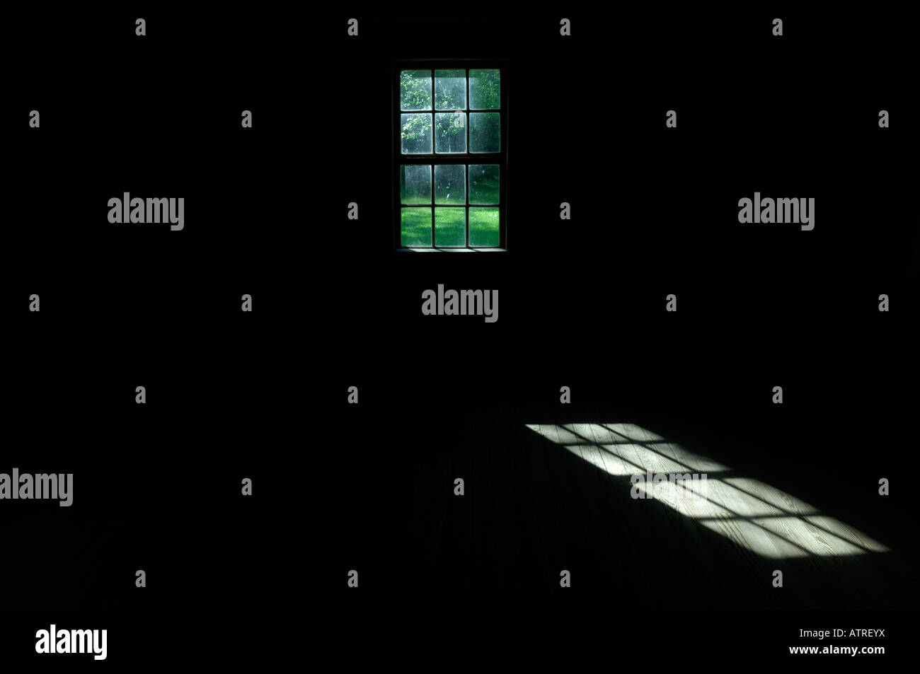 Peering out from the darkness inside to the springtime brightness ...