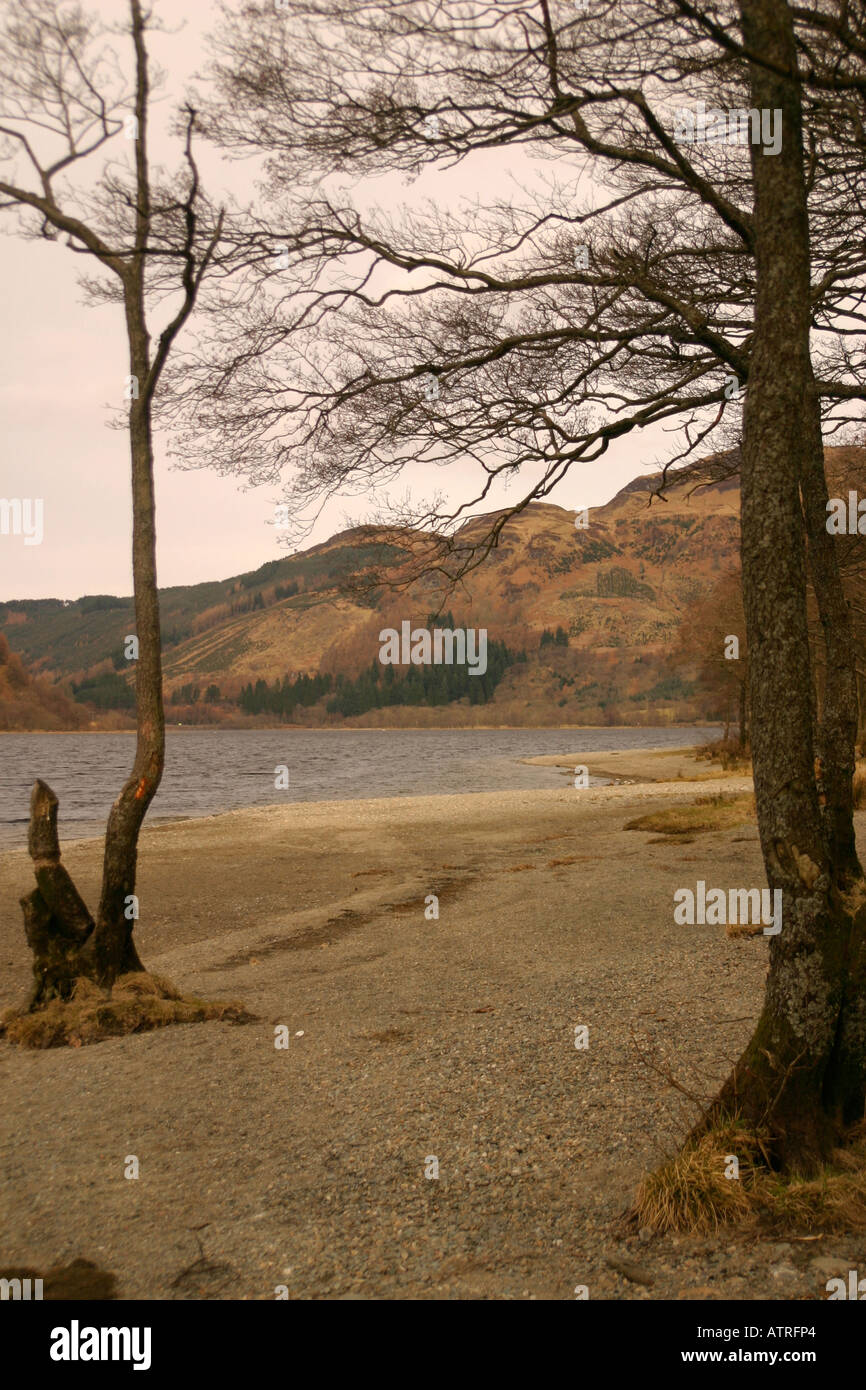A loch with trees in the Scottish Highlands Stock Photo - Alamy