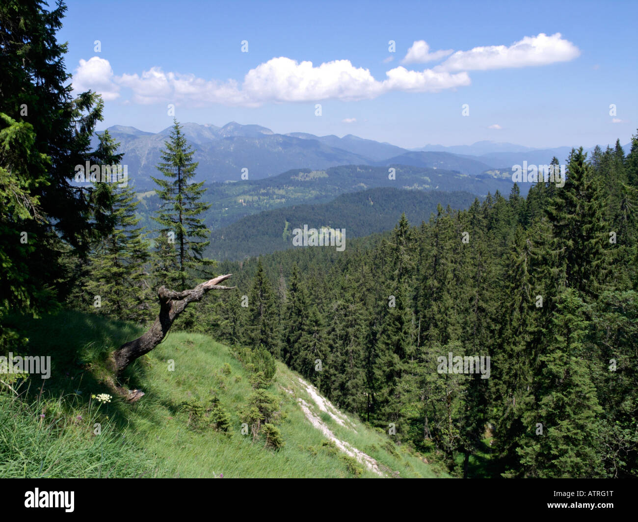 Wettersteingebirge Nature Reserve, Germany Stock Photo - Alamy
